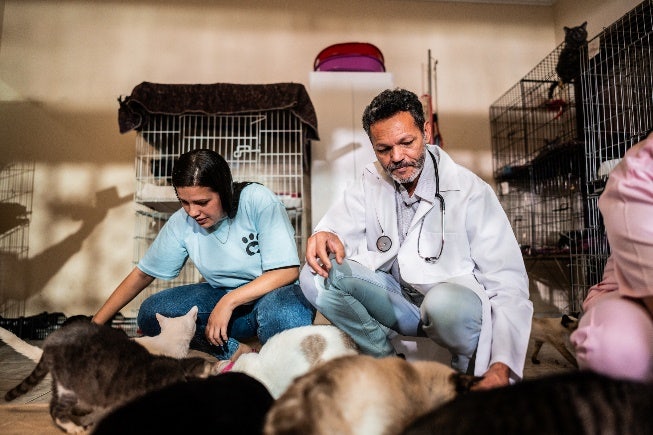 Compassion Fatigue in Animal Shelters